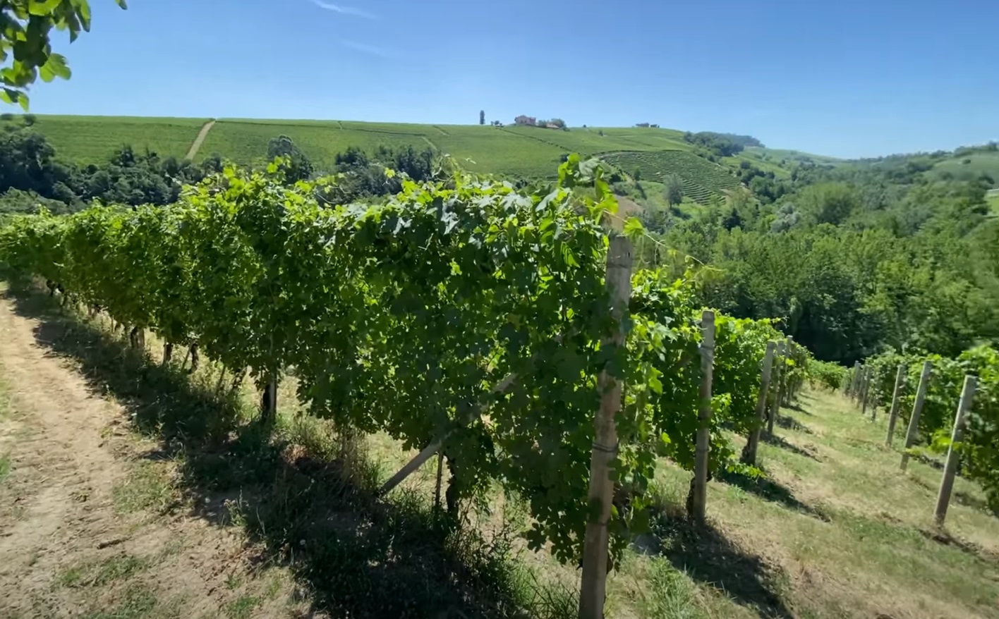 Giuseppe Rinaldi Winery, Source Of The Best Wines Of The Barolo Region ...
